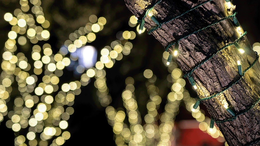 Easy Like Wednesday Morning – Lighting – Dekra-Lite