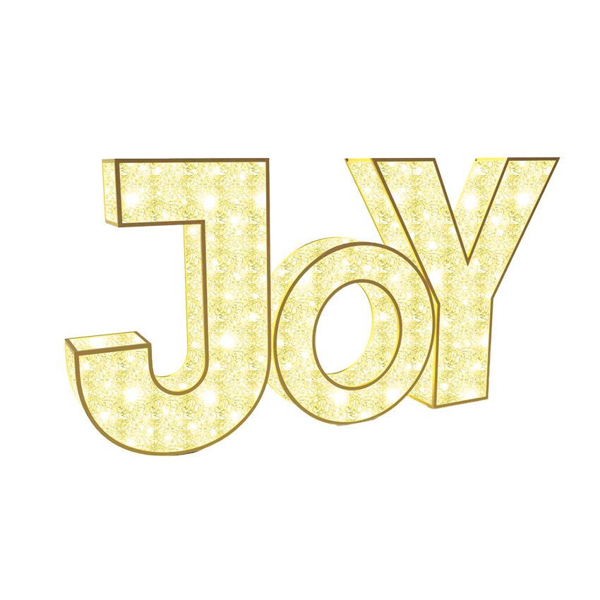 Illuminated Moa Letters - JOY – Dekra-Lite