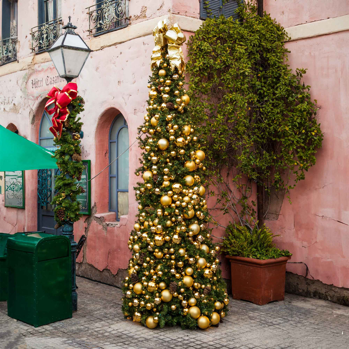 Monarch Trees Collection – Dekra-Lite