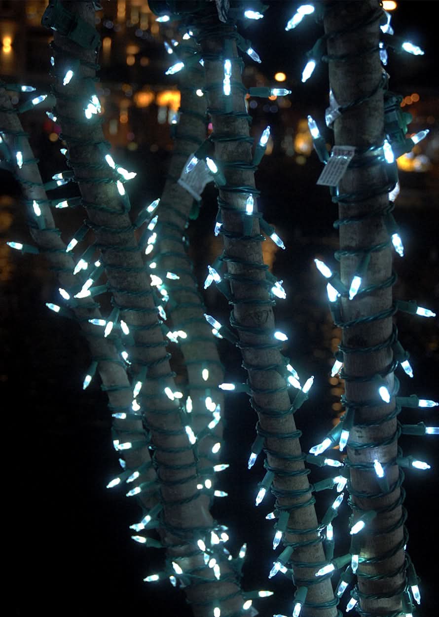 LED Mini Lights, Wholesale Christmas Decorations - Dekra-Lite