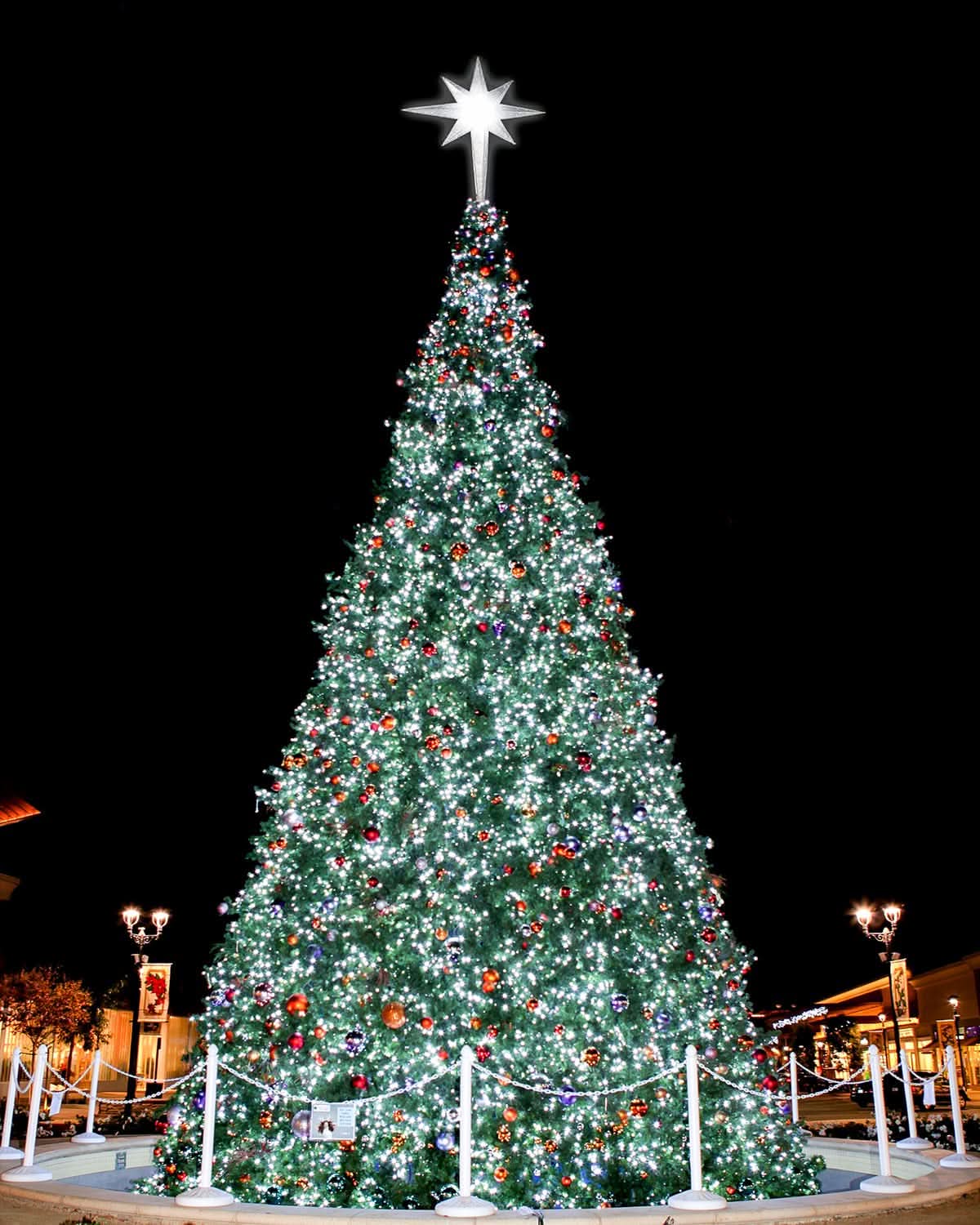 Christmas Tree Top Star